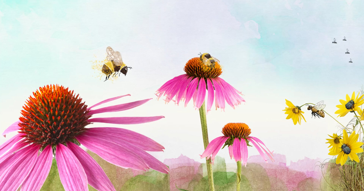 A world with no insects? - SNF Dialogues